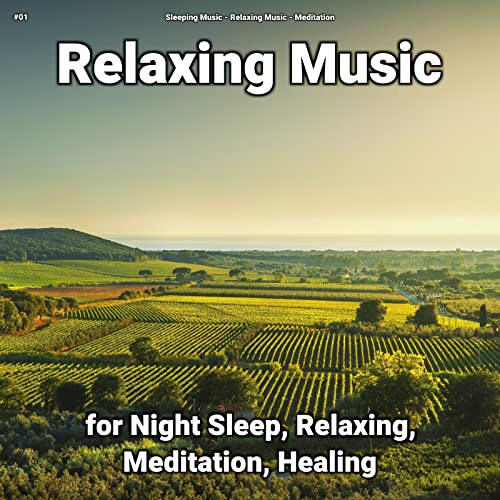 #01 Relaxing Music for Night Sleep, Relaxing, Meditation, Healing by ...