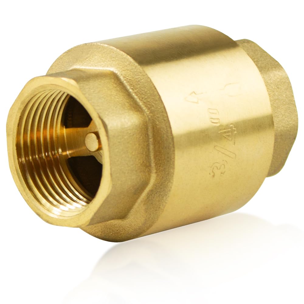 Snapklik.com : WiseWater Vertical Spring Check Valve, 1 NPT Thread ...