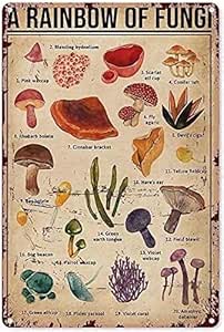 Amazon.com: ESETASOT Knowledge Retro Metal Tin Sign,A Rainbow OfTin ...