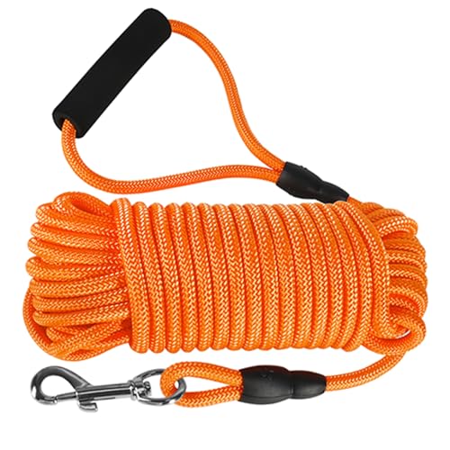 Long Leashes for Dogs – The 15 best products compared - Wild Explained