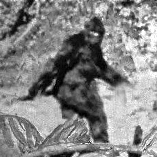 Blurry Creatures ep 1: Bigfoot The Gateway Drug : Amazon.de: Bücher