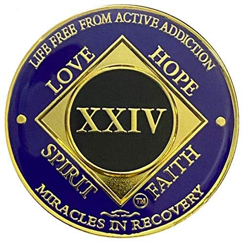 Amazon.com: NA 24 Year Golden Color Plated Medallion, Recovery Coin, NA ...