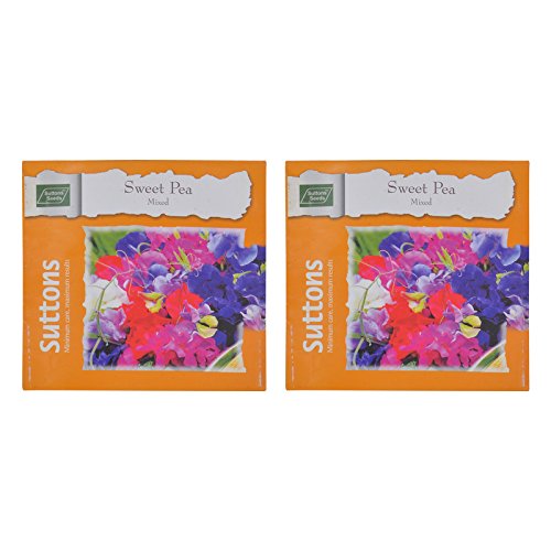 Suttons Sutton Seeds Sweet PEA-MIXED-FS960 Flower Seeds-Pack of 02 ...