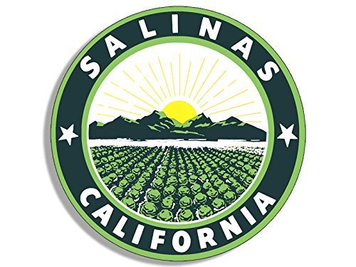 Salinas Valley Logo Salinas Is Set To Cap Rent Hikes, A Historic Step