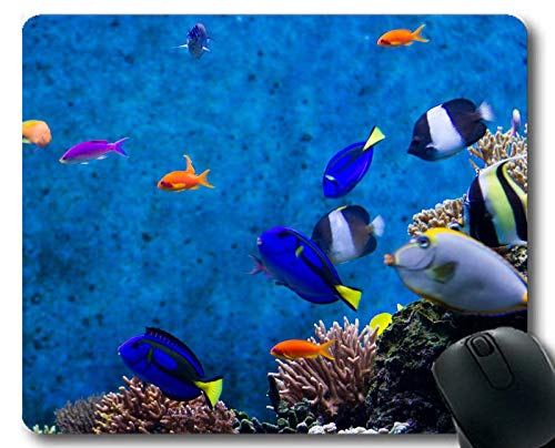 Yanteng Mouse pad Gaming,red Fish Theme of Unique Mouse mat （White ...