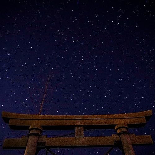 Amazon MusicでSomatoのプロジェクト40を再生する