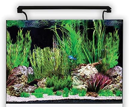 Aqua One AquaNano 60 Glass Aquarium 100L : Amazon.co.uk: Pet Supplies