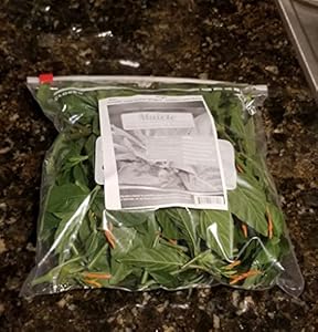 Amazon.com : Muicle Muitle Hierba/te Muycle Mexican Honeysuckle 100% 4 ...