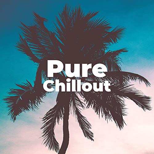 Pure Chillout - 15 Songs of Carefully Selected Chillout Music : The ...