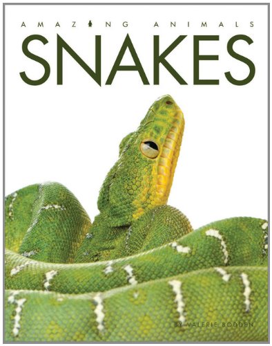 Buy Amazing Animals: Snakes Book Online at Low Prices in India ...