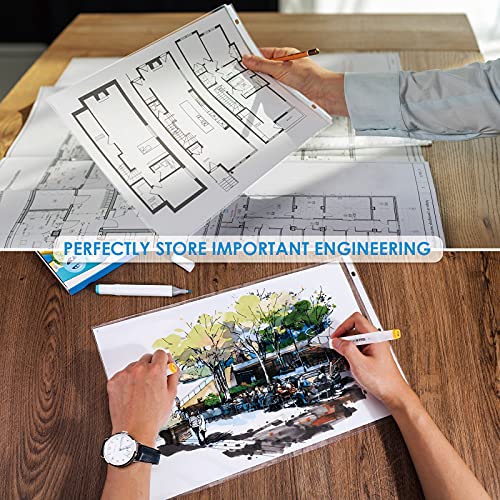 Snapklik.com : Sheet Protectors 11 X 17 Inch, Ledger Size Clear Plastic ...