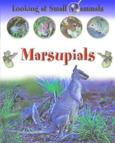 Marsupials (Looking at Small Mammals): Morgan, Sally: 9781593891756 ...