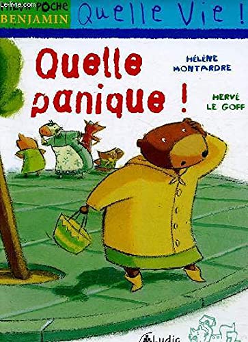 Amazon.com: Quelle panique!: 9782745901187: Hélène Montardre: Books