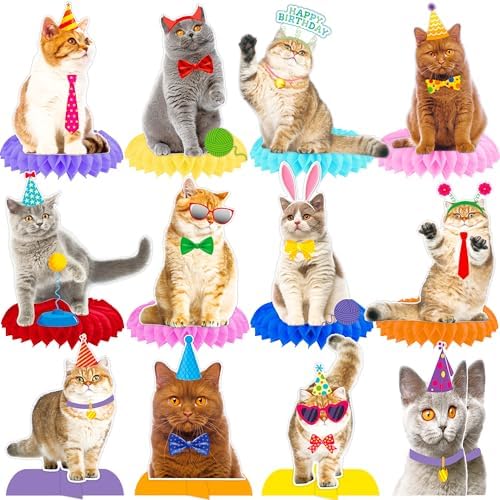 Amazon.com: umoni British Shorthair Cat Honeycomb Centerpieces 12Pcs ...