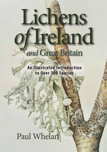 Buy Lichens of Ireland and Great Britain: An Illustrated Guide to Over ...