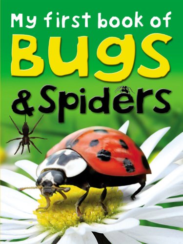 My First Book of Bugs & Spiders (My First Book Series) : Phillips, Dee ...