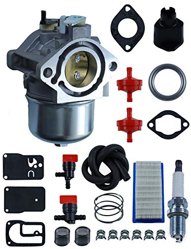 Best Briggs Fuel Pump Where to Buy? TD-Pump.com