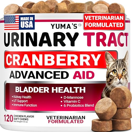 Top 5 Cat Urinary Health Supplements: Review Now - destinationdorworth.com