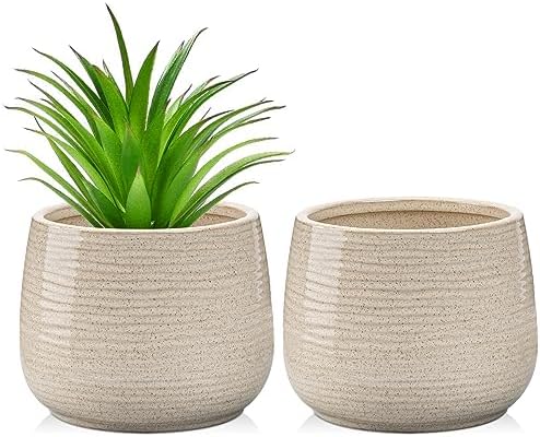 Amazon.com : Ceramic Plant Pots 5.3 Inch Set of 2, Flower Plants Pot ...