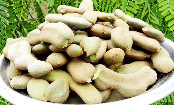 Premium Desi Green Tamarind (250gm) | Kachi Imli | Natural Fresh | Raw ...