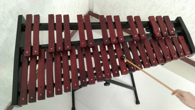 Watch 37 Note Glockenspiel Xylophone on Amazon Live