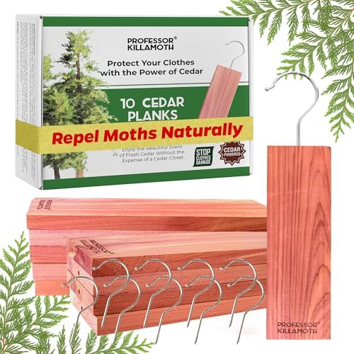 Amazon.com: Cedar Blocks for Clothes Storage – Stop Clothes Damage - 10 ...