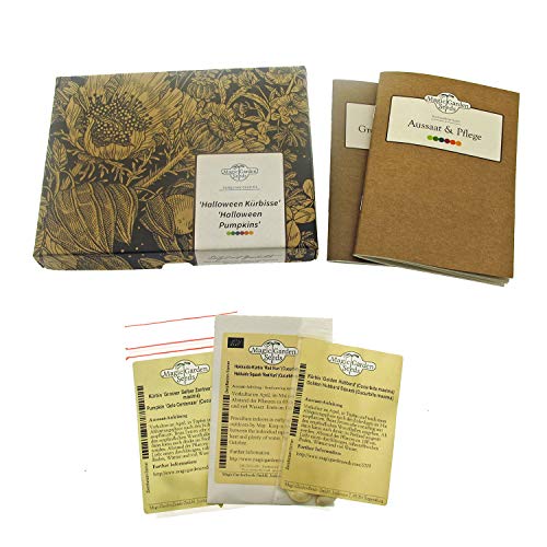 Halloween Pumpkins - Seed kit Gift Box with 3 hauntingly Beautiful and ...