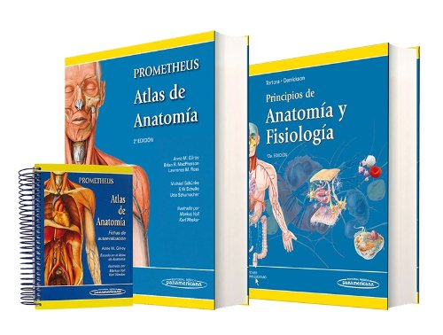LOTE PROMETHEUS ATLAS DE ANATOMIA 2013 + FICHAS AUTOEVALUACION DEL ...