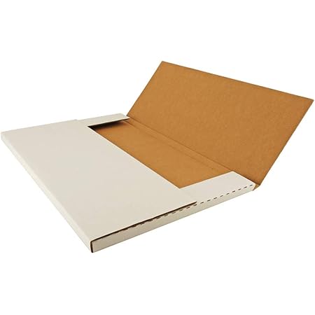 Amazon.com : Ruby Paulina LLC 11x17 Small Media Mailer Storage box ...