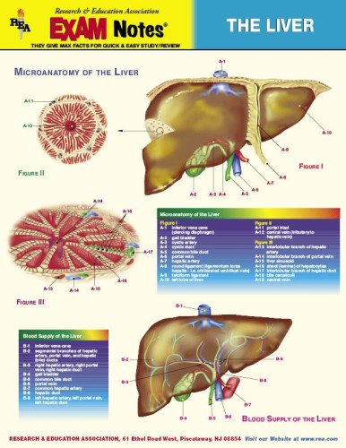 Liver Anatomy EXAM Notes (EXAM Notes Reference Charts): 9780878912681 ...