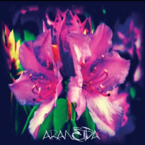 Play Araneida by Araneida on Amazon Music