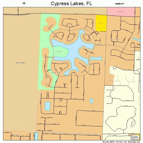Large Street & Road Map of Cypress Lakes, Florida FL - Printed poster ...
