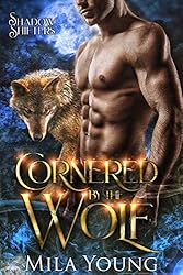 Amazon.com: Cornered By The Wolf: Paranormal Romance (Shadow Shifters ...