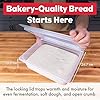 Amazon.com: Brod & Taylor Proofing Container With 6L Capacity, Fits Up ...