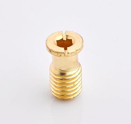 Amazon.com : Swimcare 10 Pieces Brass Anchors Head Screws Bolt for ...