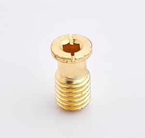 Swimcare 10 Pieces Brass Anchors Head Screws Bolt for Swimming Pool ...