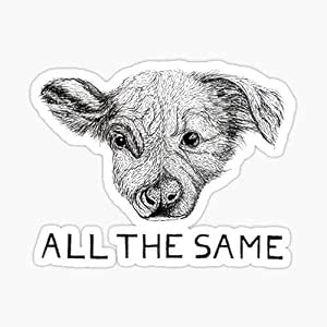 Amazon.com: The Same Sticker - Sticker Graphic - Auto, Wall, Laptop ...