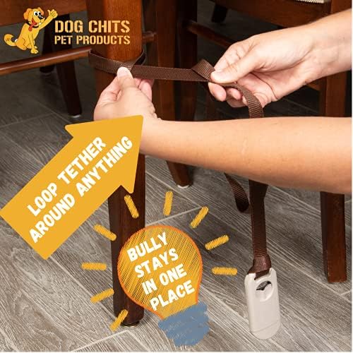 Can A Dog Choke On A Bully Stick