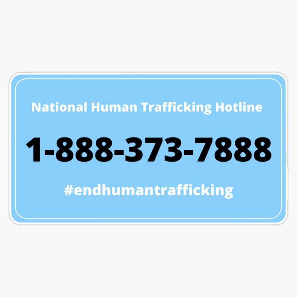 Amazon.com: National Human Trafficking Hotline Sticker Vinyl Decal Car ...