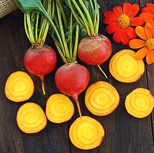 Touchstone Gold beetroot seed- 500 : Amazon.in: Garden & Outdoors