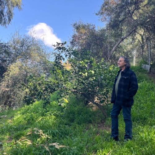 Play New Season by Victor Cisneros on Amazon Music Unlimited