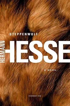 Amazon.com: Steppenwolf: A Novel: 9780312278670: Hesse, Hermann ...