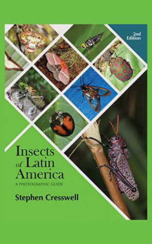 South American Insects