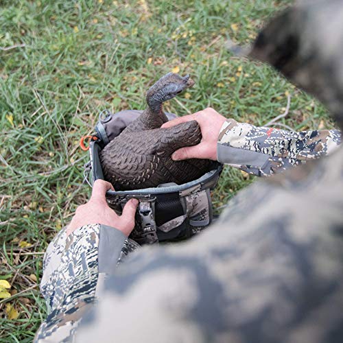 Snapklik.com : Lucky HD Collapsible Hen