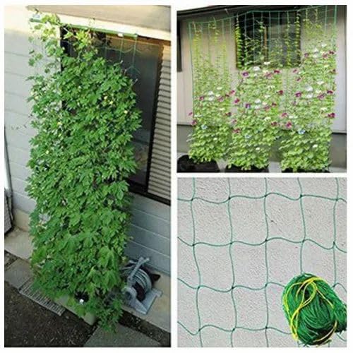 Gardening net for Climbers 3 feet x 5 feet(Pack of 1) : Amazon.in ...