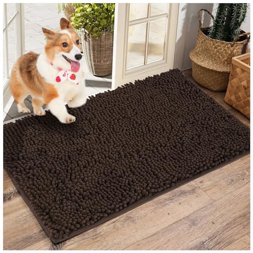 10 Best Mud Rugs for Dogs [2025]