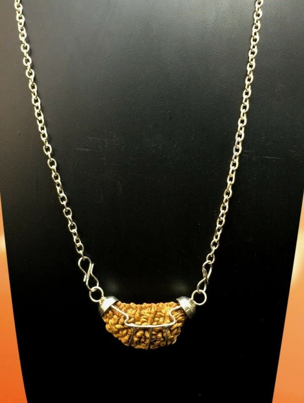 Gemz Mine One Mukhi Ak Mukhi Rudraksha Silver Pendant Original ...