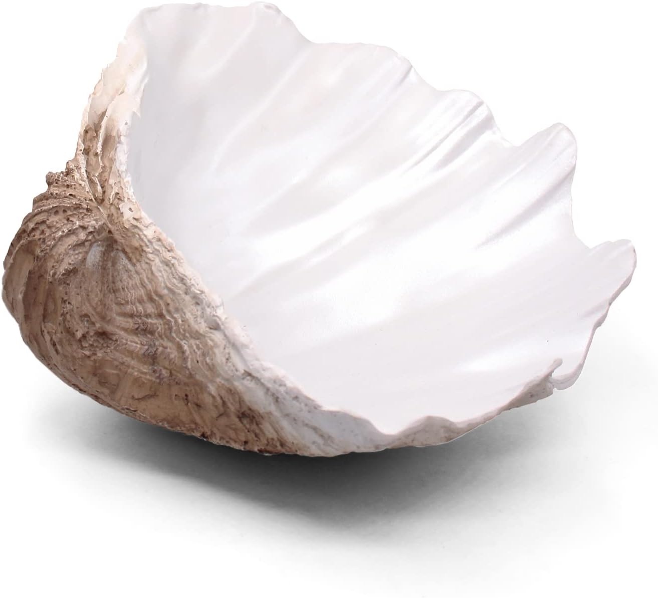 Amazon.com: Large EarthTan-White Sea Shells Decorative Bowl Resin Clam ...
