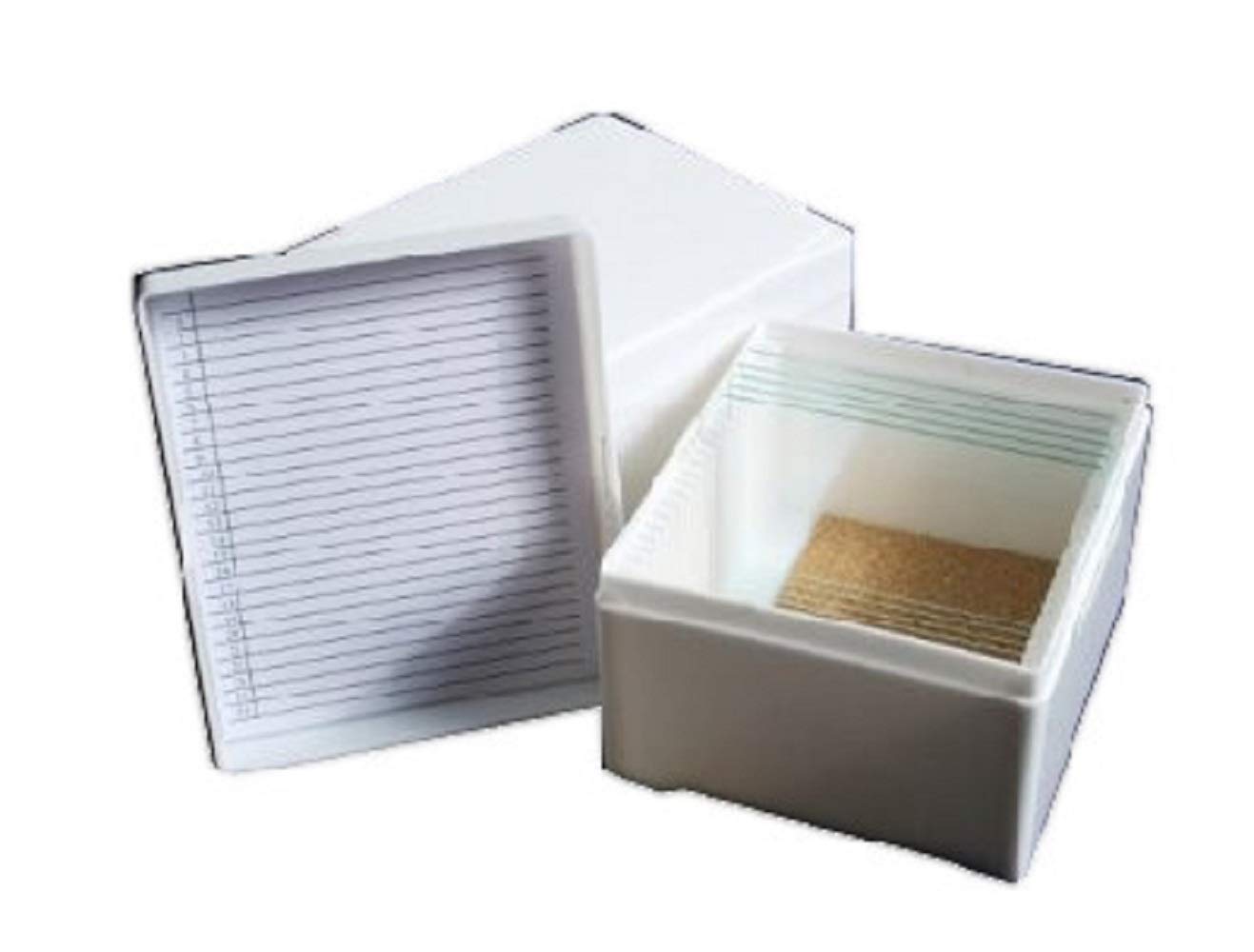 Premiere Slide Storage Box for 2"x3" Slides, White, 25 Capacity: Amazon ...