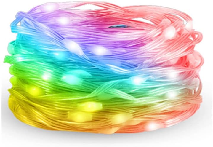 paulzhang DC12V WS2811/WS2812 Pebble Pixel Lights String Seed Pixel ...